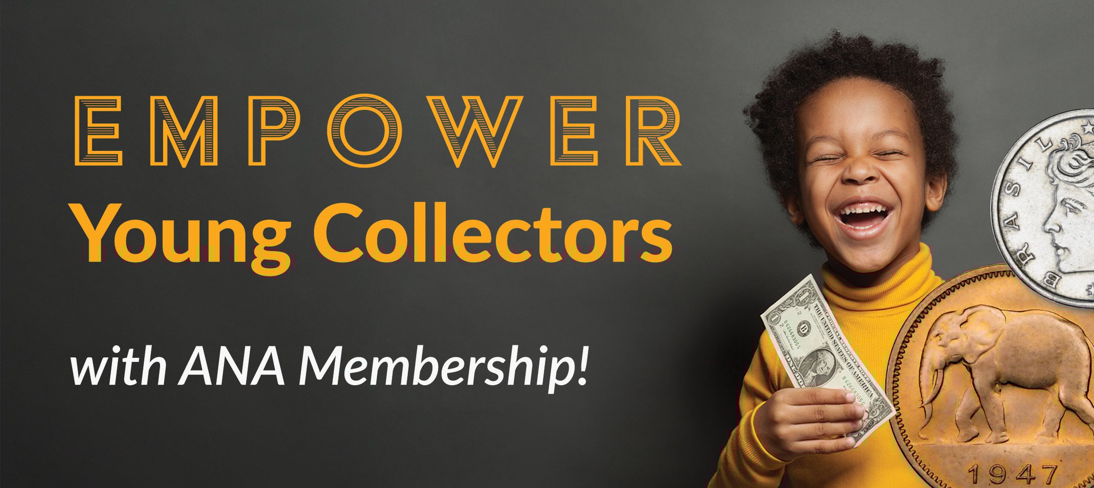 ANA YN Membership Promo